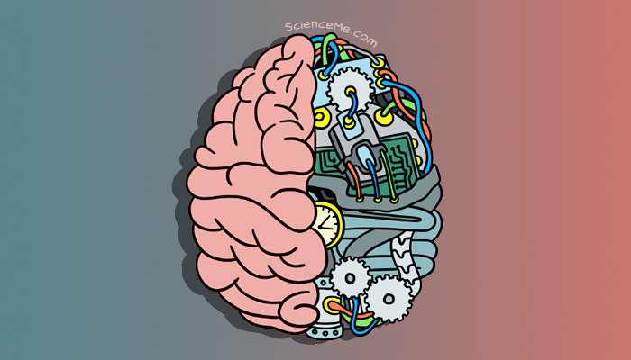 Are We More Than Biological Machines? | Science Me