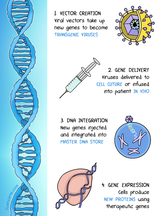 Gene Therapy Cartoon